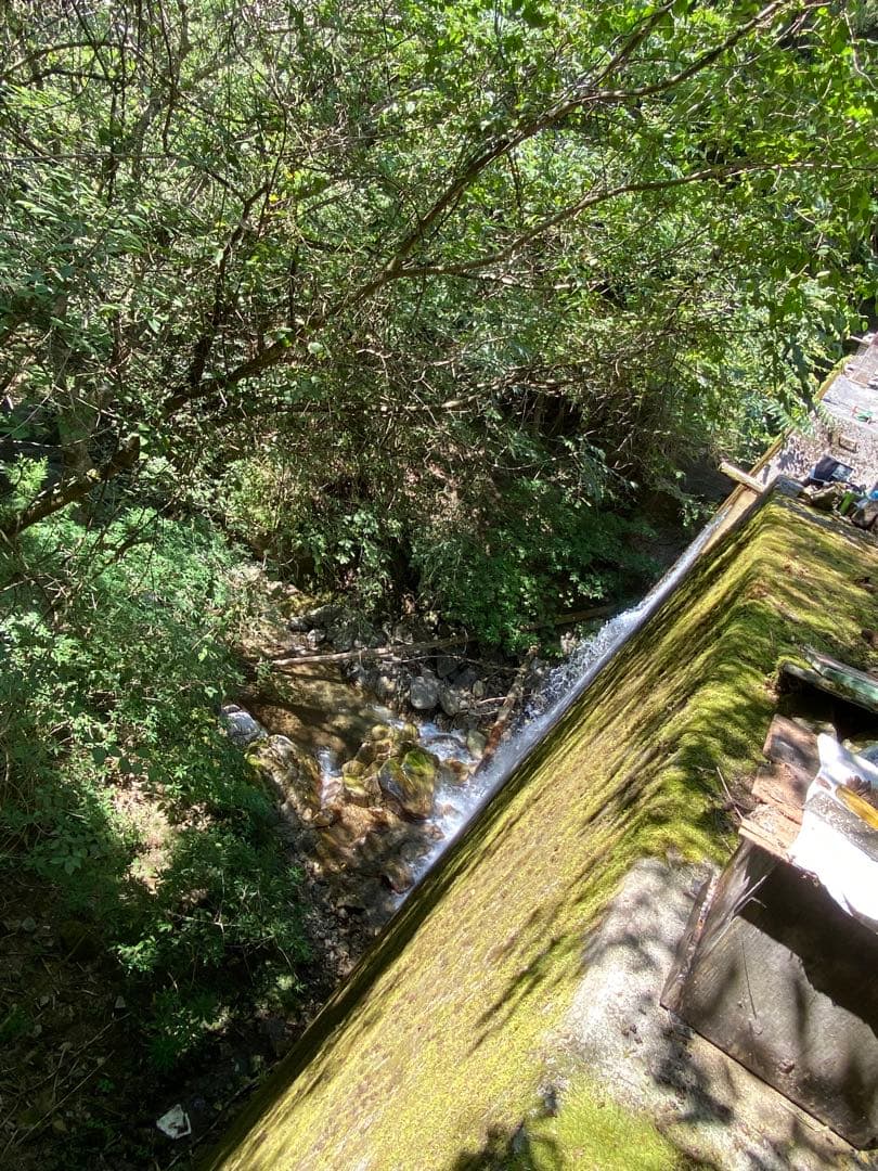 はちみつ　日本蜜蜂のハチミツ　奥山の奥の蜂蜜