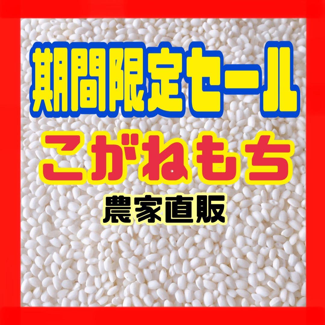 農家直販 減農薬 令和7年 こがねもち もち米 10キロ 玄米 白米も可