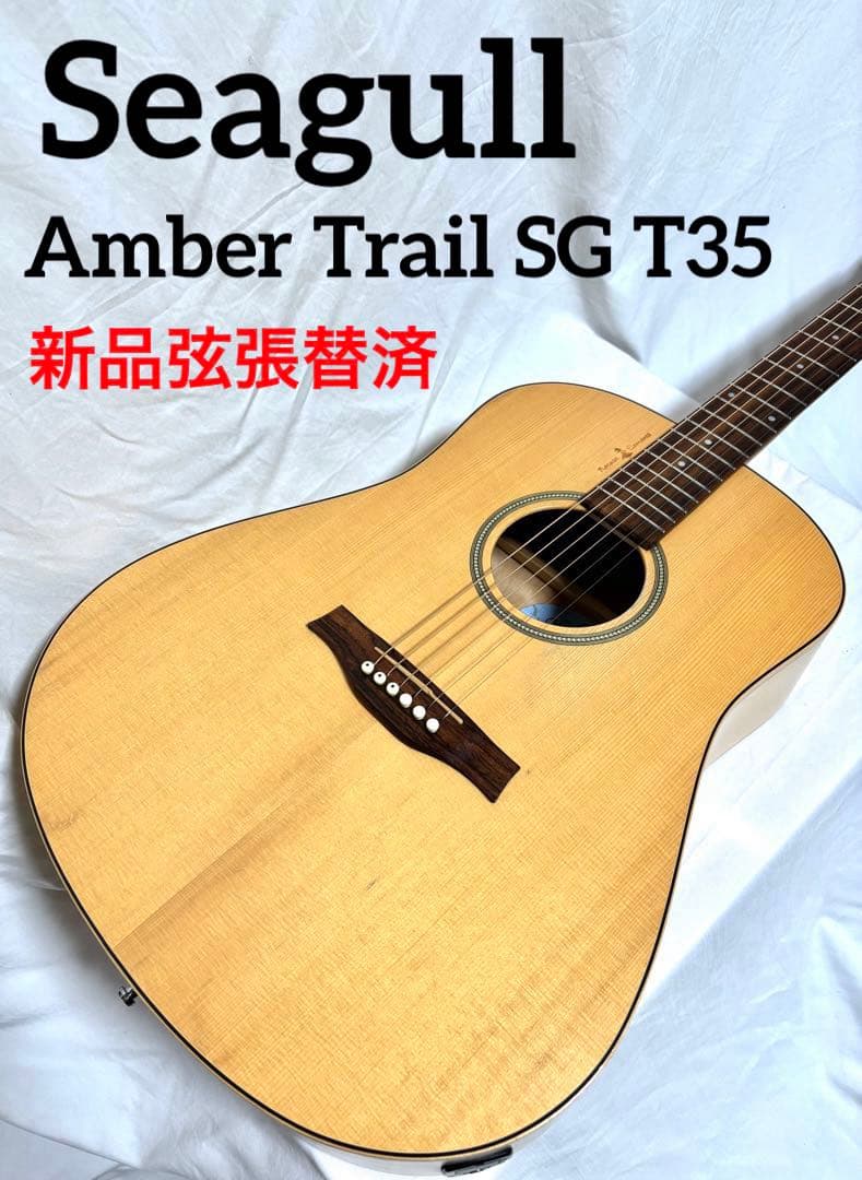 【新品弦張替済】Seagull エレアコ Amber Trail SG T35