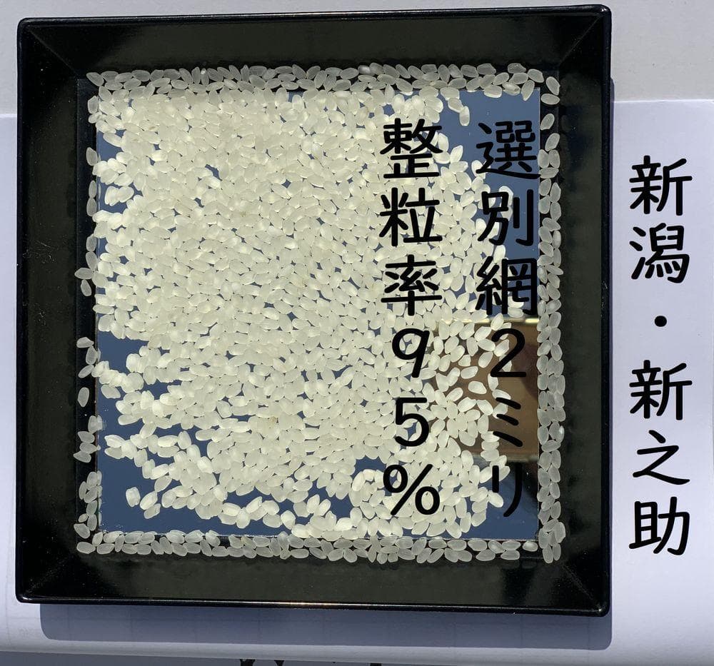 大粒な新米・令和7年産　新潟新之助　白米5キロ4個 2０キロ　精米無料★農家直送
