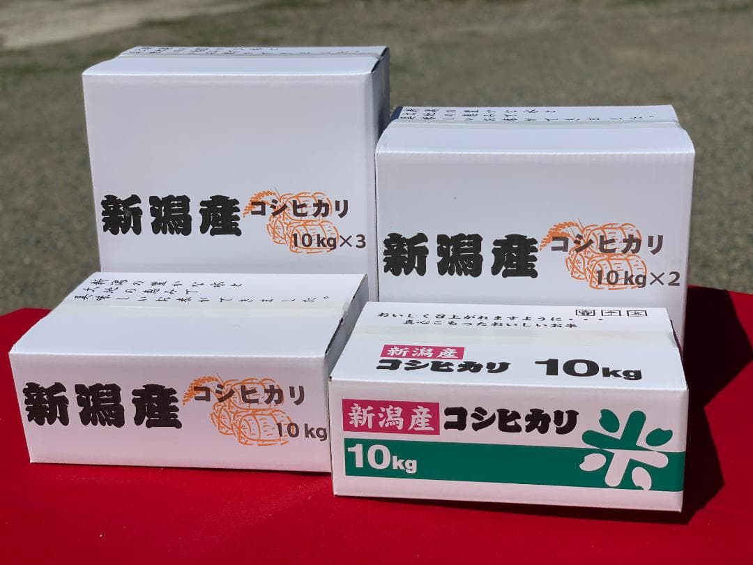 大粒な新米・令和7年産　新潟新之助　白米5キロ4個 2０キロ　精米無料★農家直送