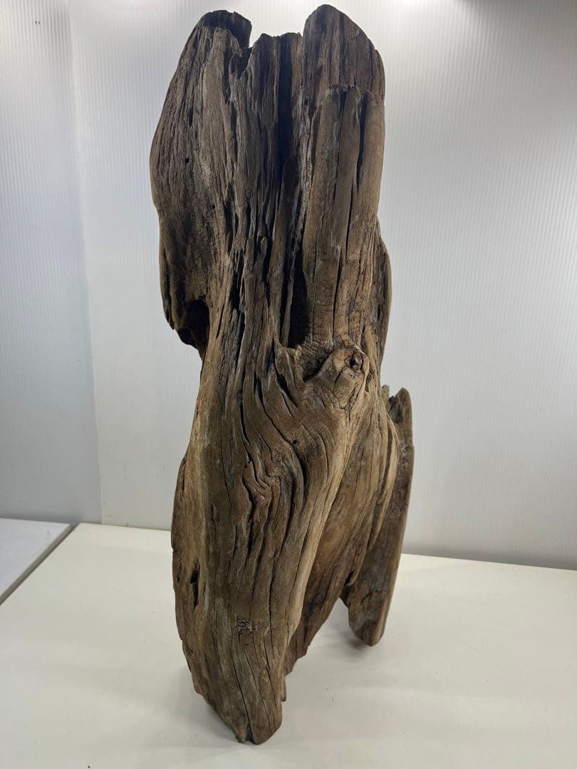 W28特大流木アク抜き済み流木 爬虫類シェルター 登り木 インテリア 生け花