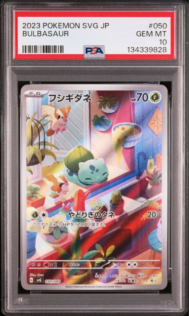 3連番 PSA10 フシギダネ AR ヒトカゲ AR ゼニガメ AR プロモ ⑥