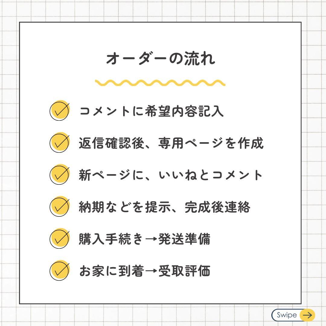 【オーダー受付用】　アライグマのぬい服　ちびぬい用