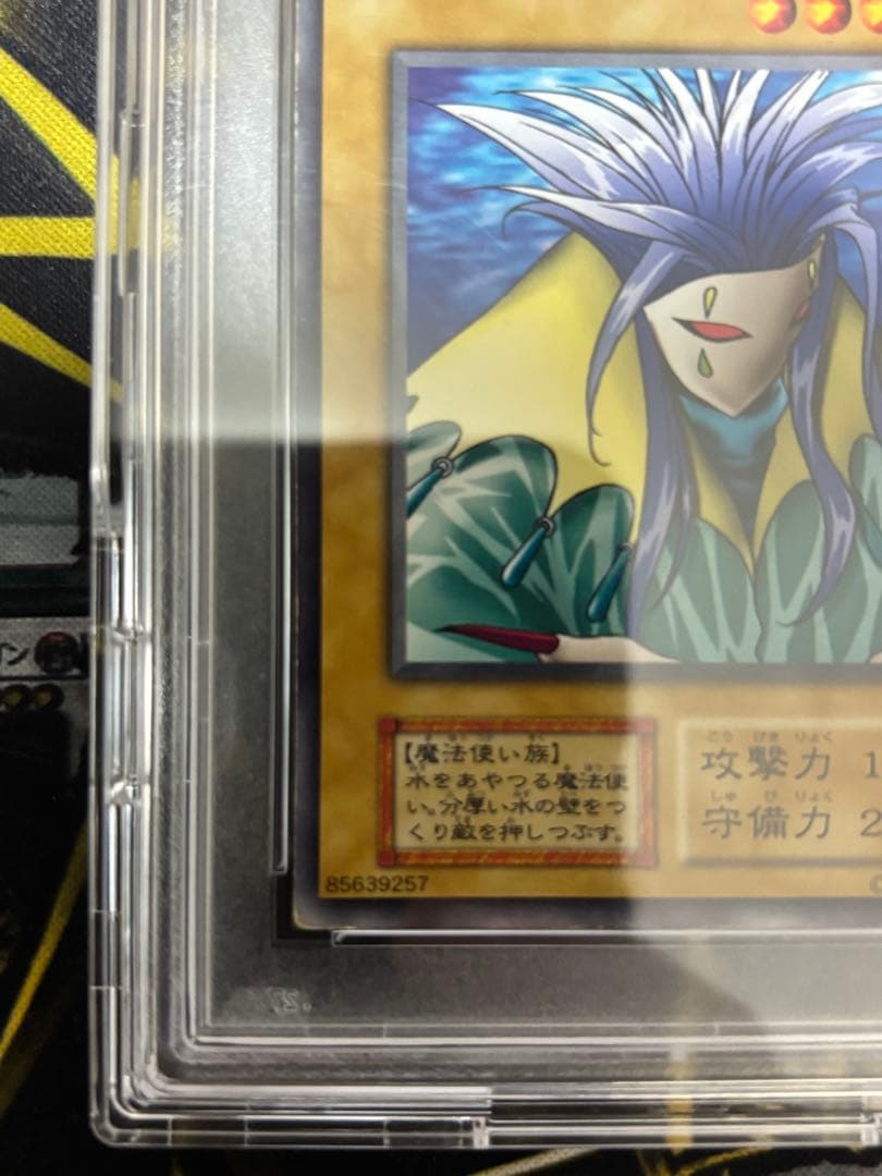 遊戯王　アクアマドール　初期　ノーマル　psa5