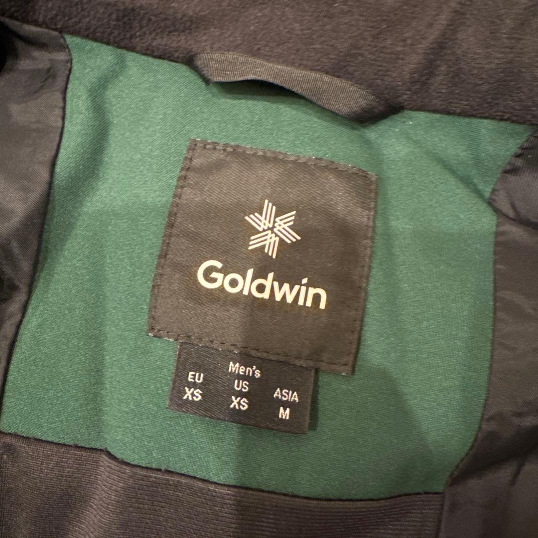 Goldwin スキーウェア上下セット　サイズM (グリーン×ブルー)