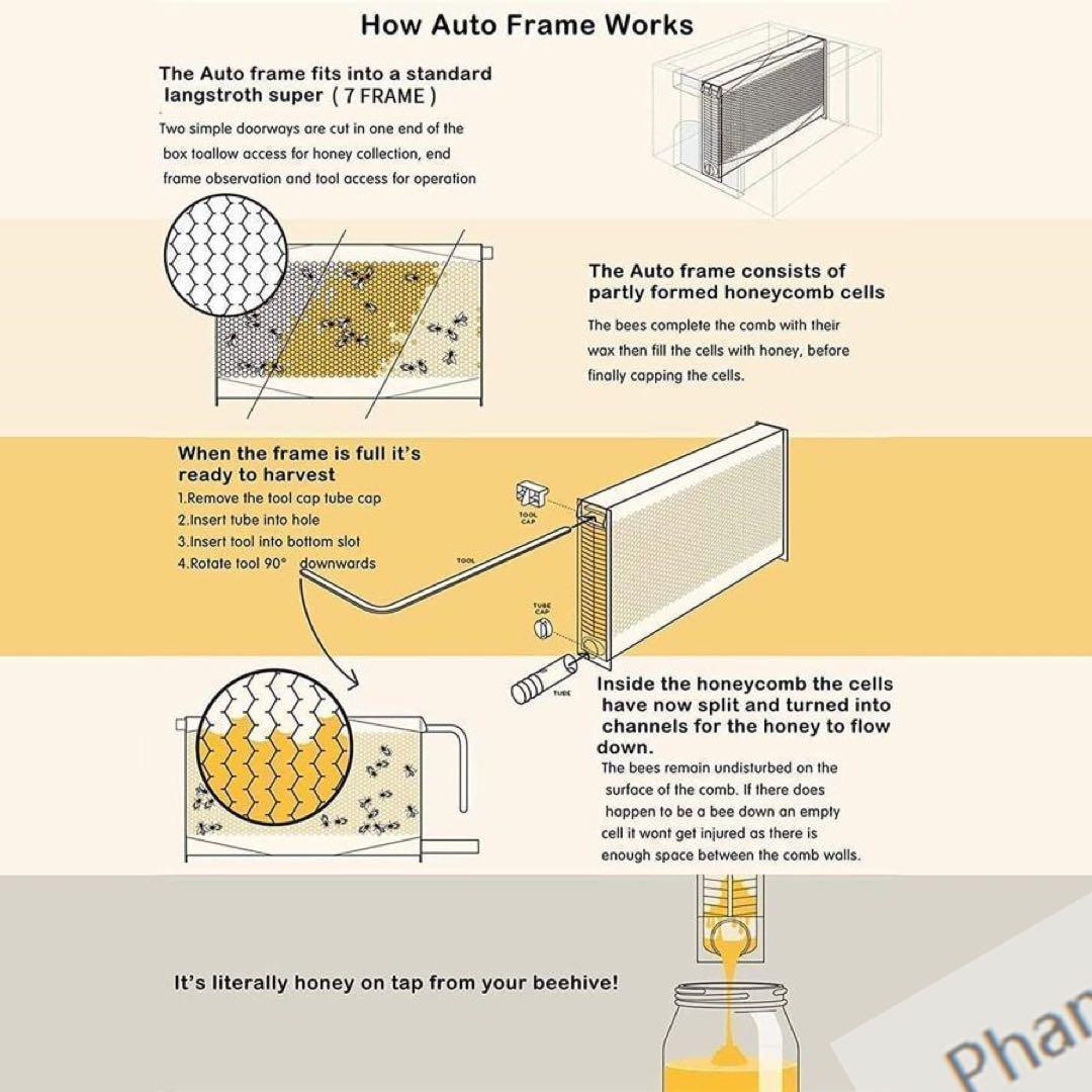 大人気ミツバチ 巣箱 蜜蜂巣箱 4個  養蜂器