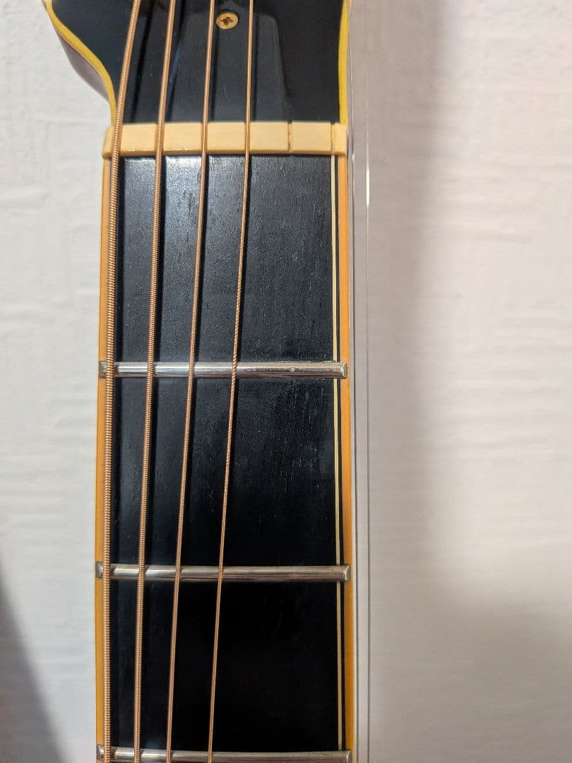 Takamine NPT-115-6NT 長渕剛　JAPANモデル