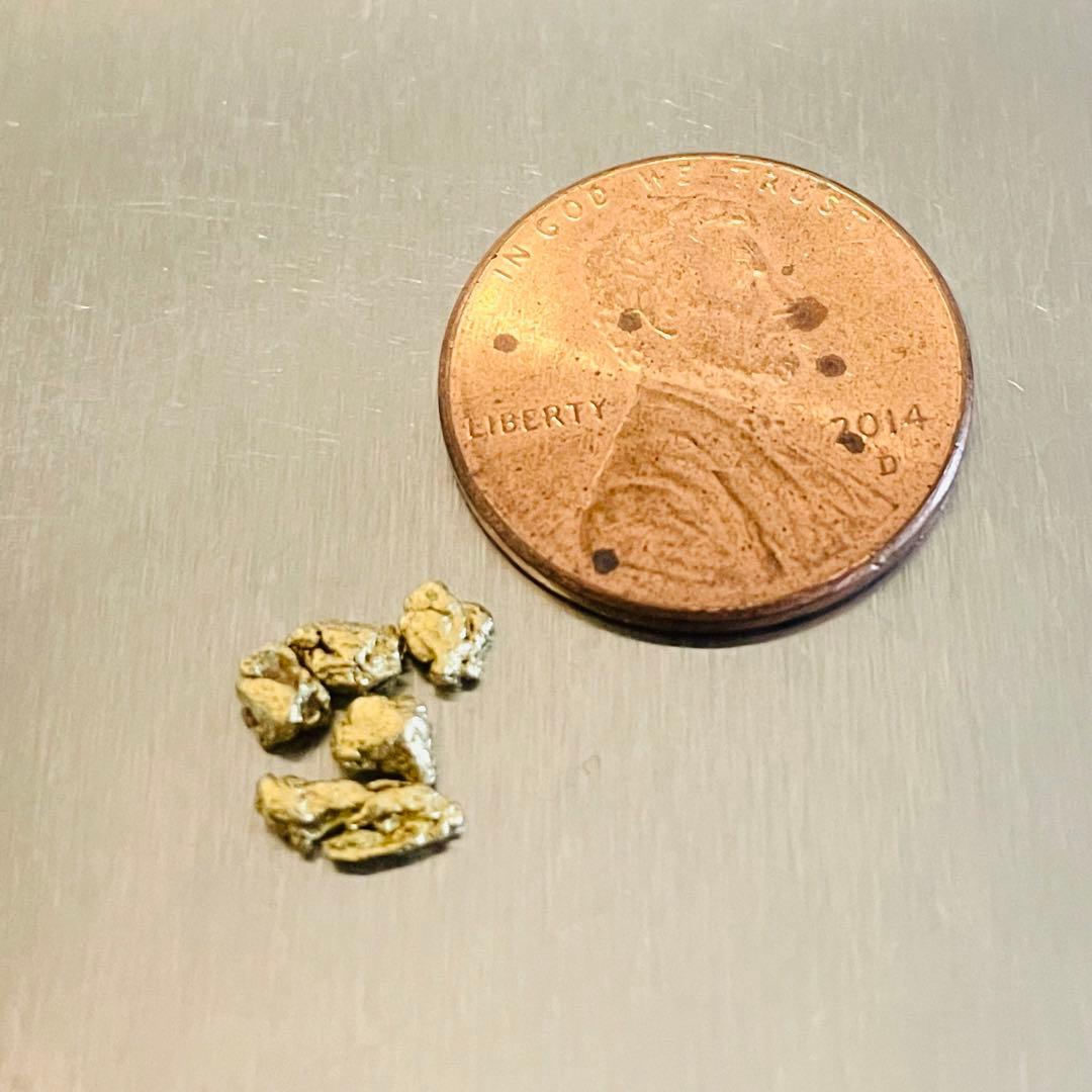 Colorado 自然金 Gold Nuggets 0.5g