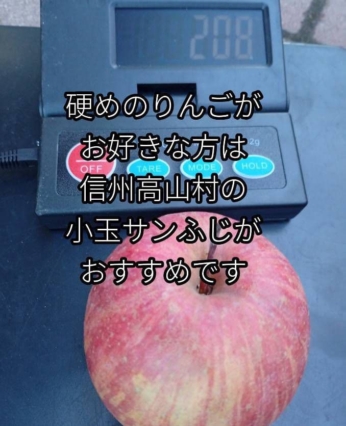 【糖度20度超】信州高山村の小玉フジ12キロシャキシャキ、ジューシーなりんご