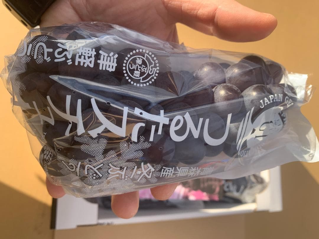 【かえる】青森県津軽地方産ぶどう　つるたスチューベン　約１５キロ家庭贈答用