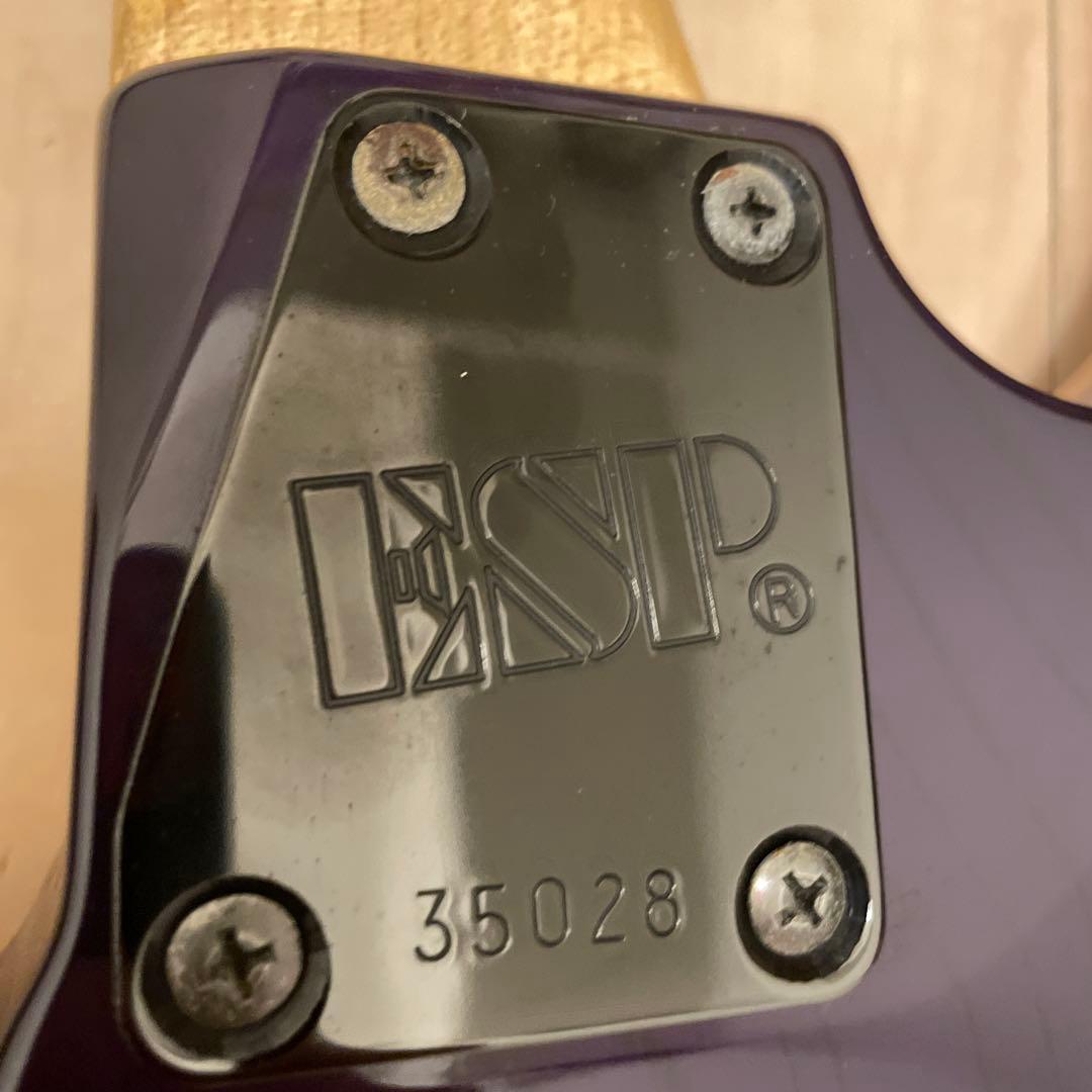 ESP HORIZON ホライゾン ギター Seymour Duncan PU