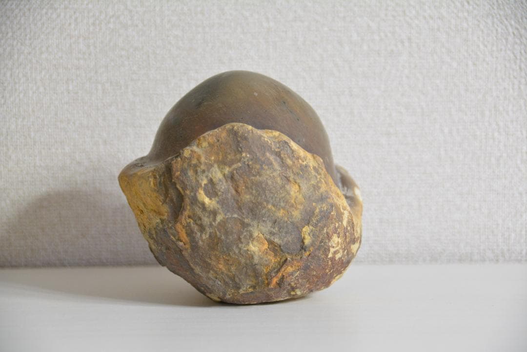 ●学術用●恐竜の卵 たまご 化石 標本 鑑賞石 ★本物