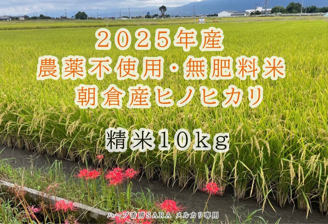 2025年産！九州・福岡県朝倉市産ヒノヒカリ精米10キロ(農薬不使用・無肥料米)