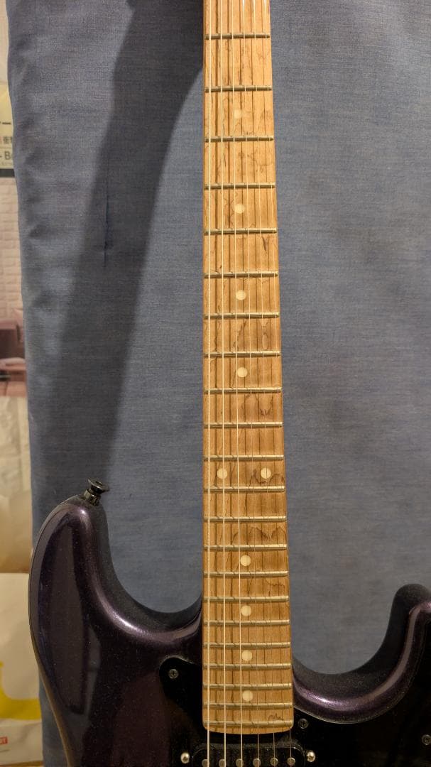 ギター Warmoth(body) stratocaster