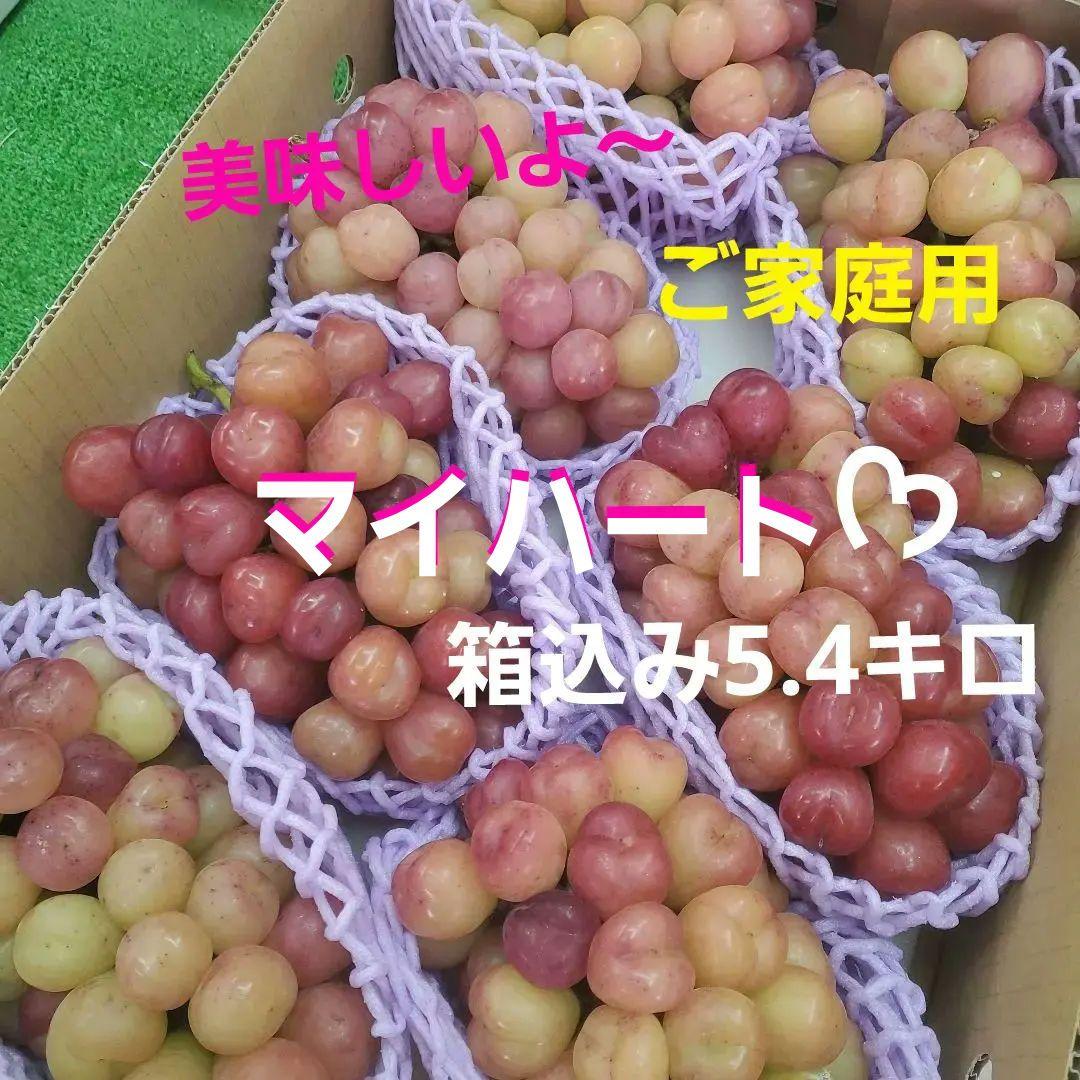 2️⃣ 山梨県産 マイハート ７房入り 箱込み5.4キロ