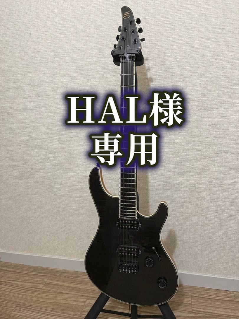 【HAL】Mayones regius6 ケース2種