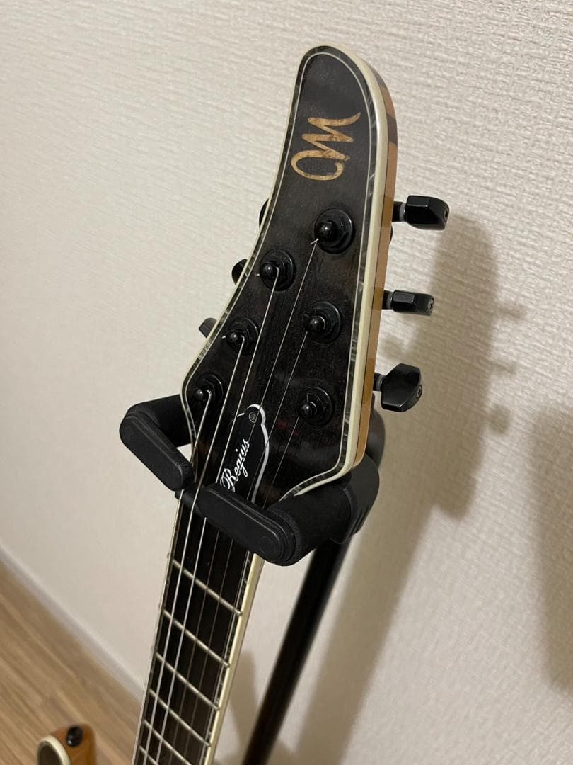 【HAL】Mayones regius6 ケース2種