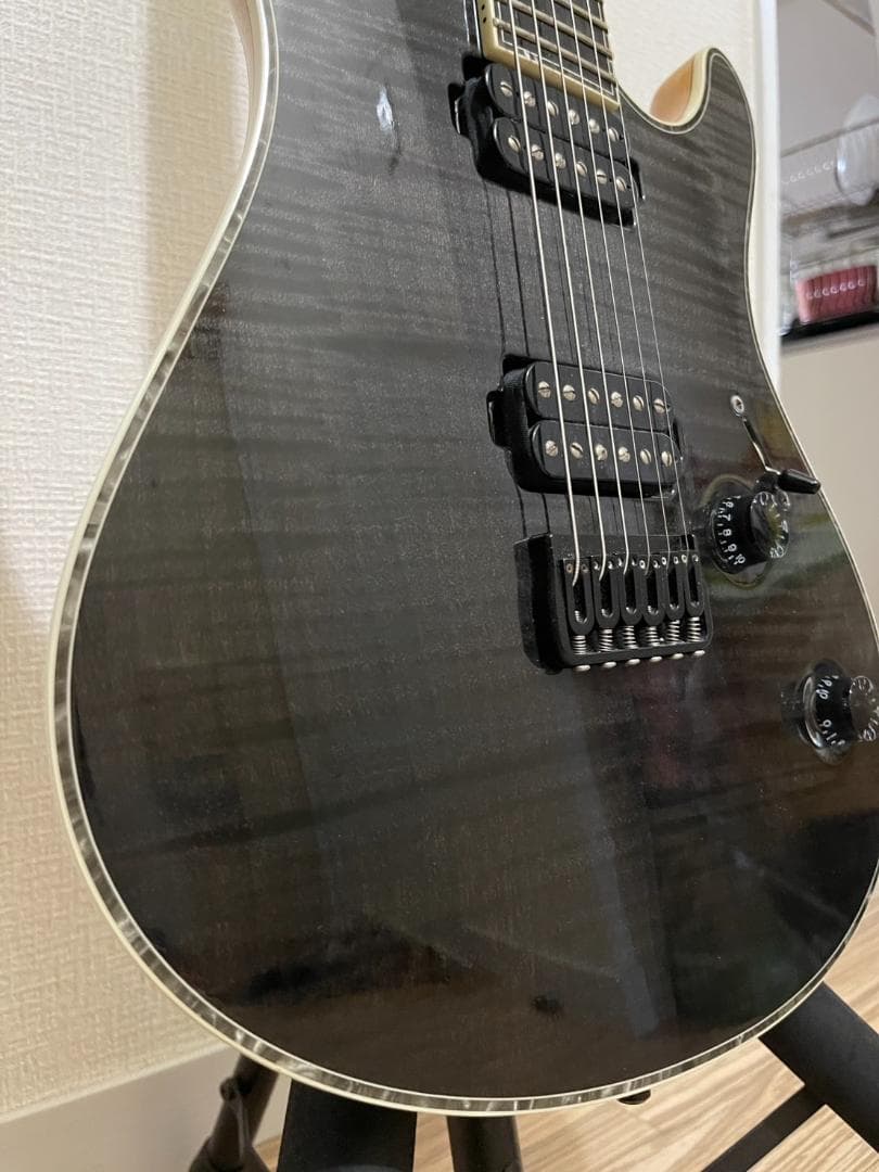 【HAL】Mayones regius6 ケース2種