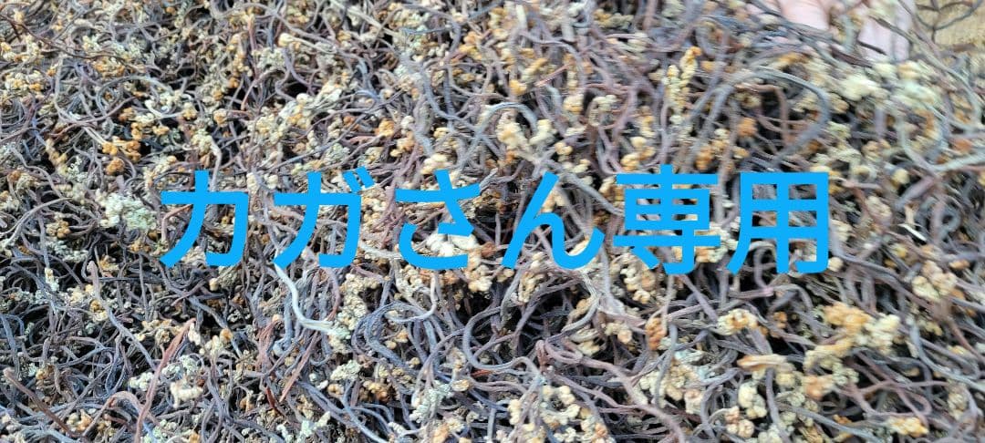 カガさん専用　令和7年岩手県産乾燥わらび　７キロ
