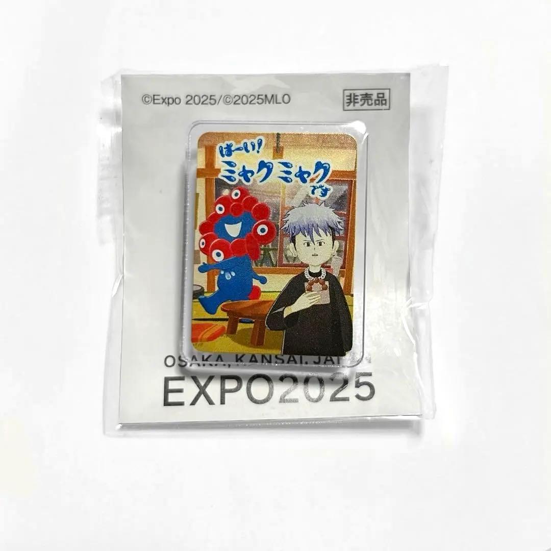 【万博限定】　公式スタンプパスポート　コンプリート ピンバッジ 記念日　非売品