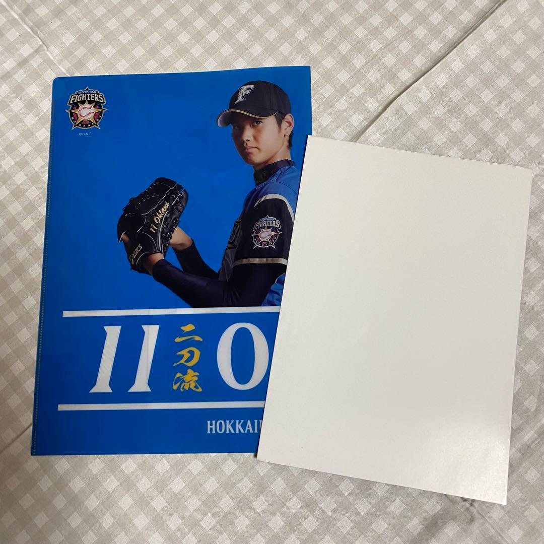 大谷翔平選手　観戦証明書　クリアファイル付き