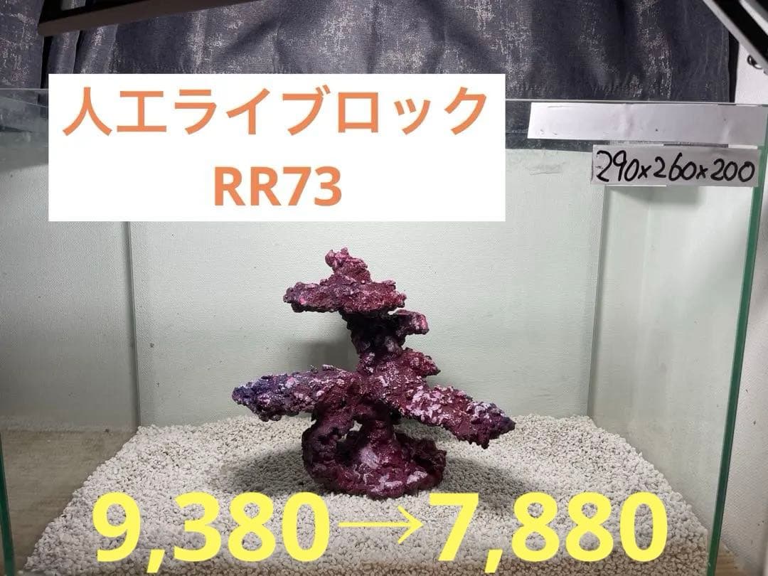 人工ライブロック RR73 アク抜き済み安心塗料使用