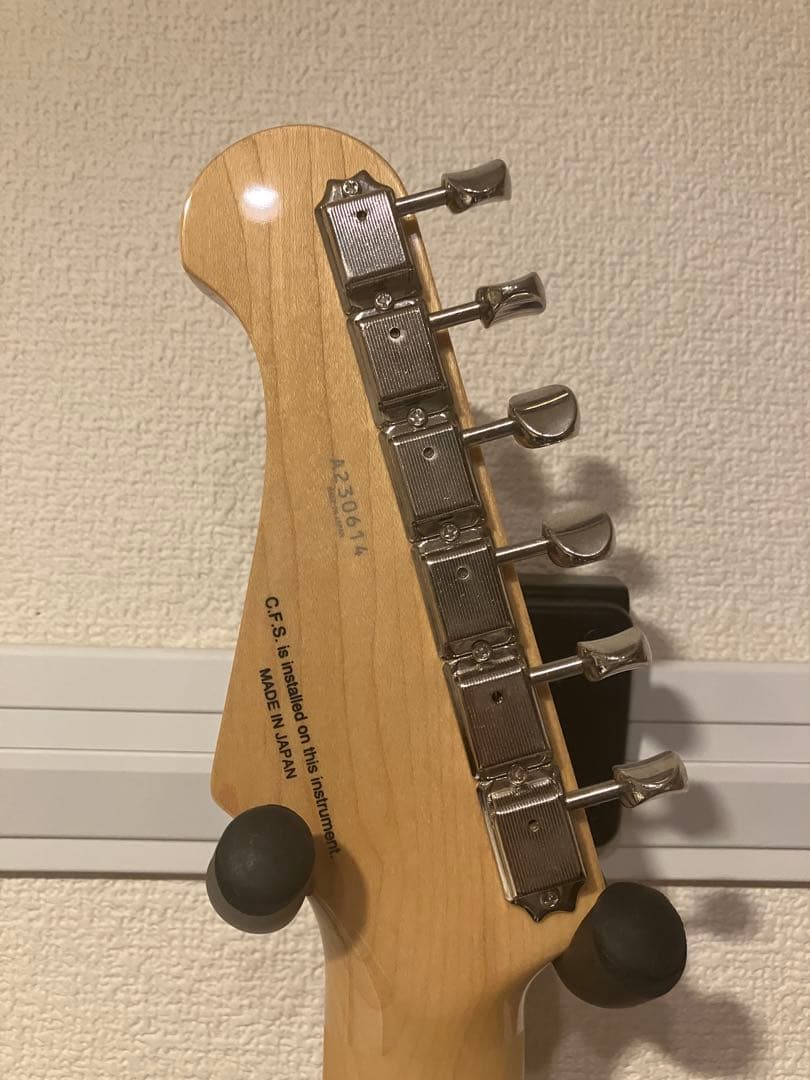 ギター FGN FUJIGEN NTL10RAL OLP