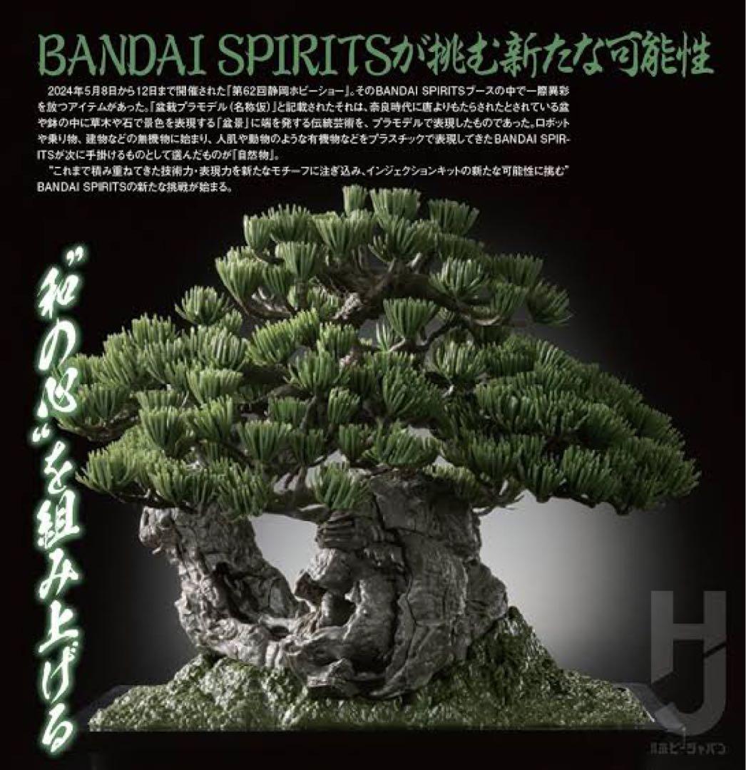 NEIGHBORHOOD Bonsai Model Kit 盆栽 新品未開封