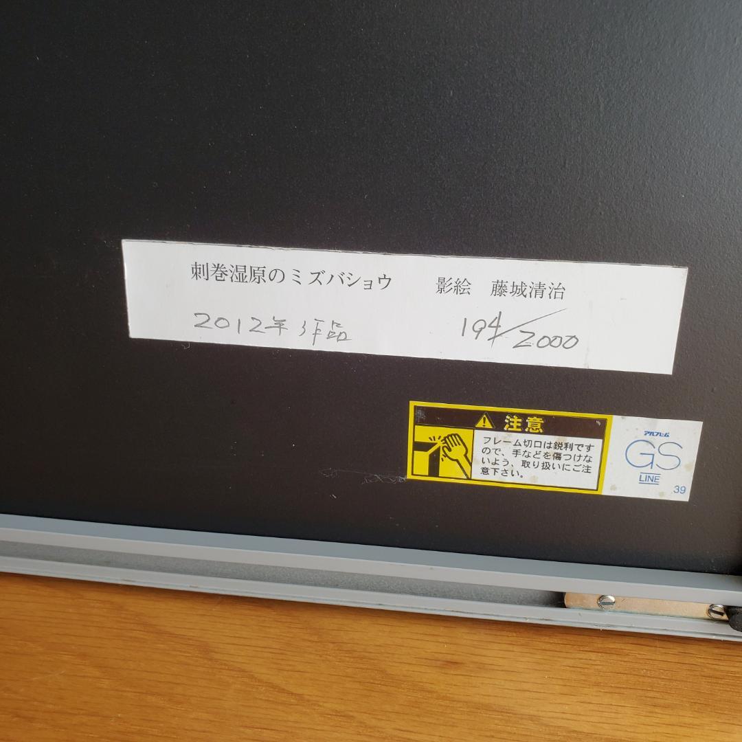 藤城清治 オフセットリト 湿原のミズバショウとこびと 額装 60 正方形 影絵
