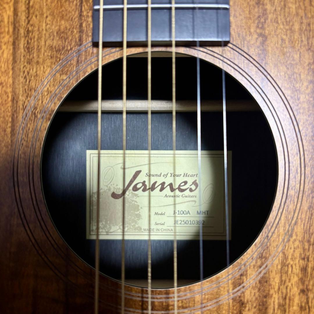 【美品】James トランスギターJ-100A MHT ギグケース付属