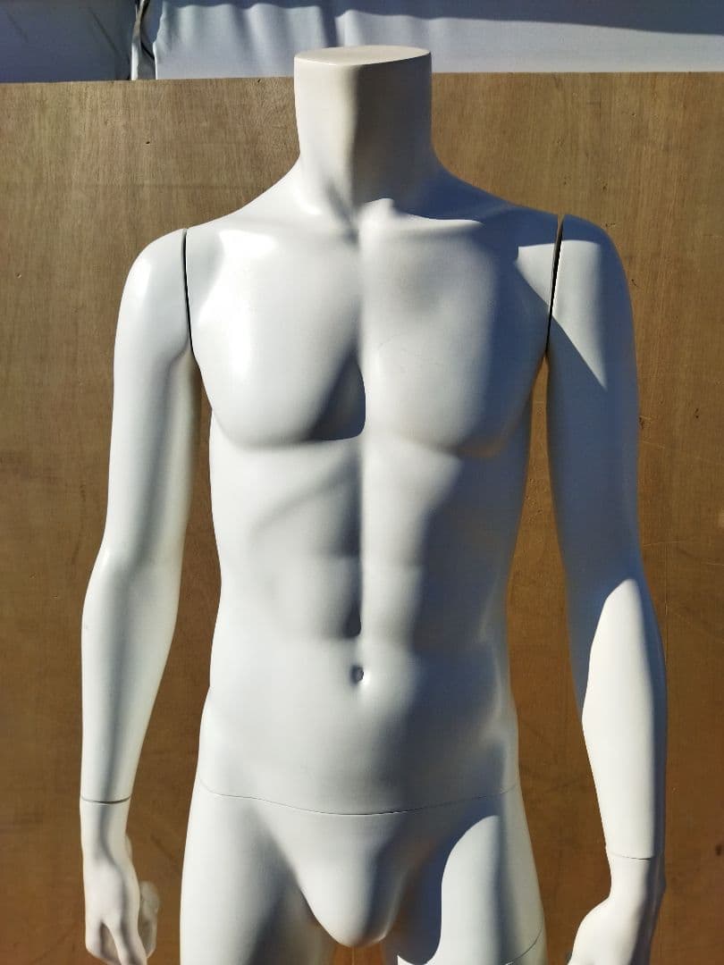miree　男性用マネキン トルソー 約50×43×H170cm　人形