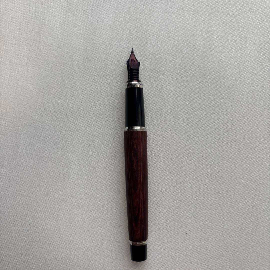 PILOT LEGNO 89s 万年筆 M 14K
