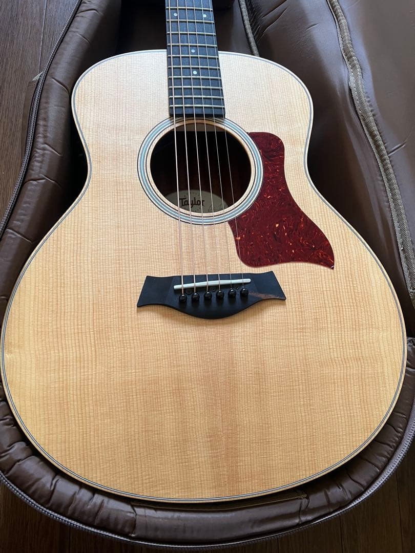 Taylor Guitars ( テイラーギター ) GS Mini-e