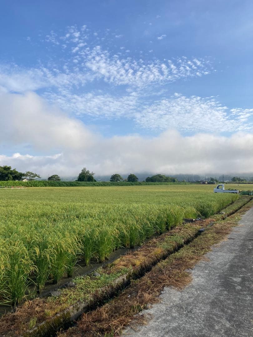 7年魚沼産コシヒカリ精米所10kg