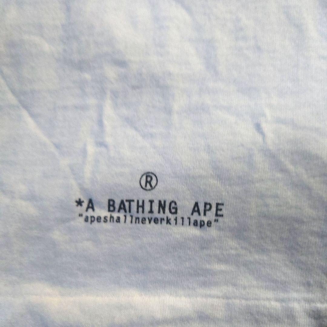 ARRESTED DEVELOPMENT A BATHING APE サマソニ