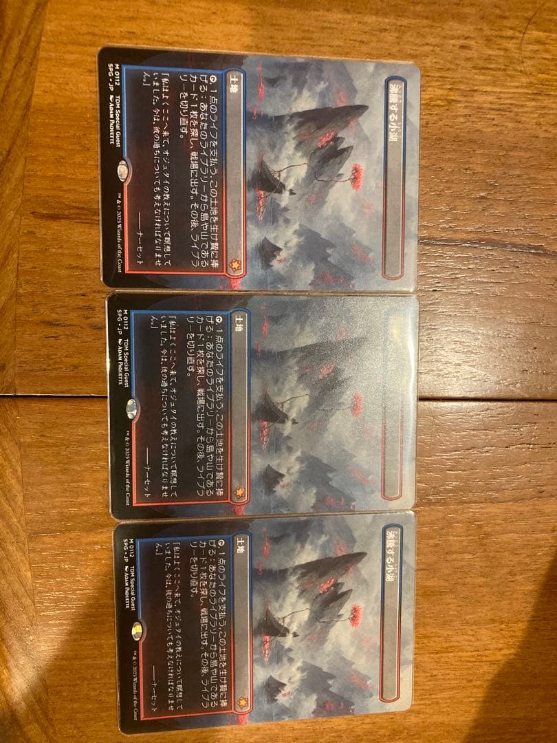 沸騰する小湖　ボーダーレス日本語版1枚