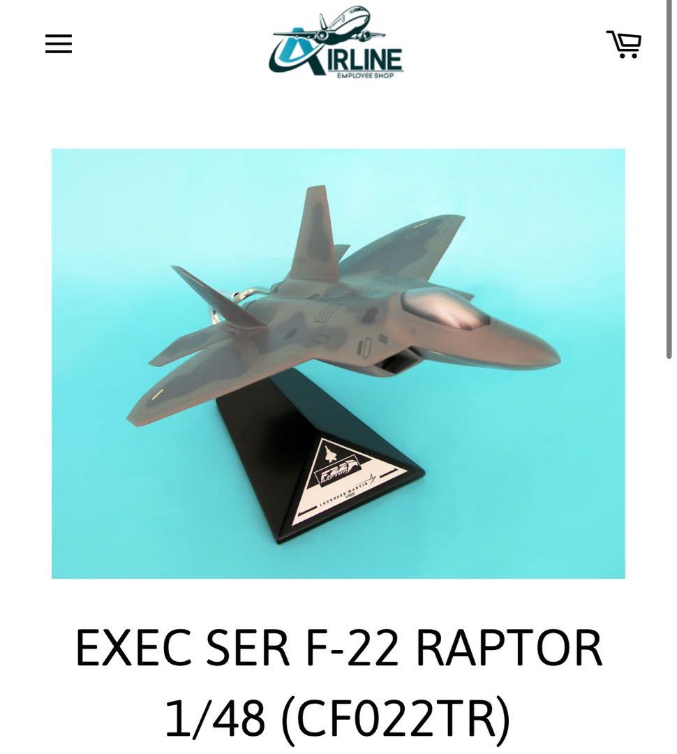 【激レア】F22 戦闘機　1/48スケール