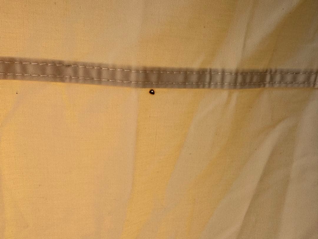 【ogawa】ピルツ15TC