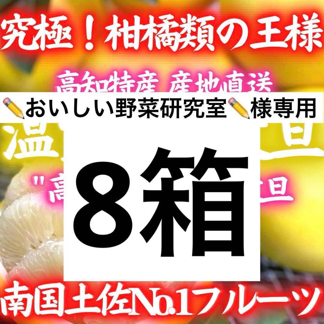 高知特産 温室土佐文旦 ハウス 土佐文旦 文旦 3kg×8箱