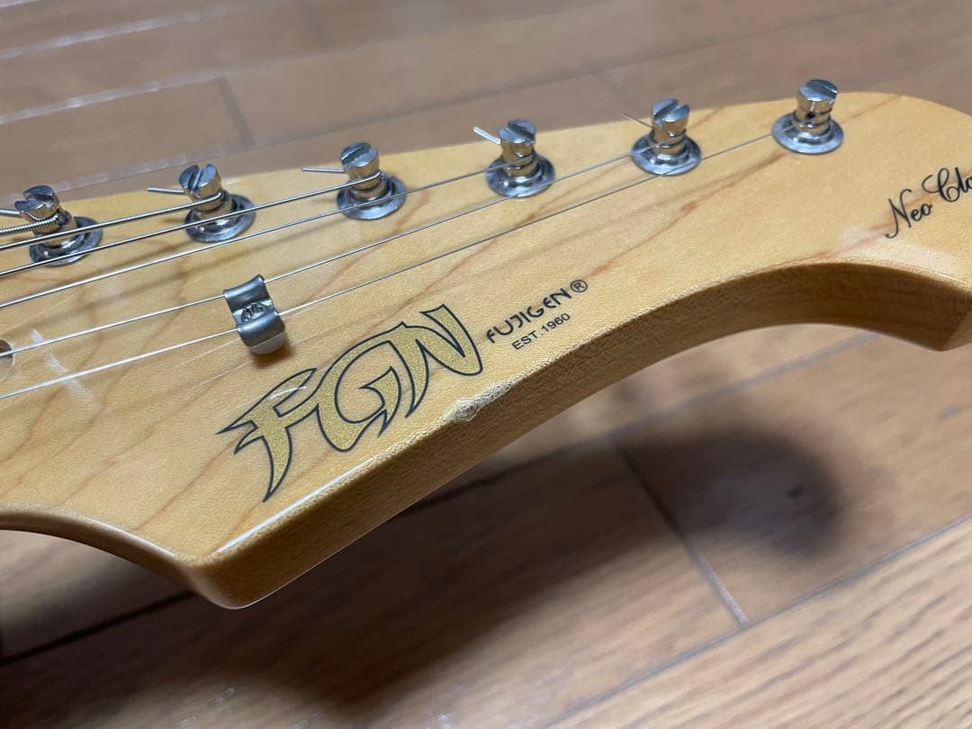 fujigen（FGN） SNST101-BK 【限定生産品】