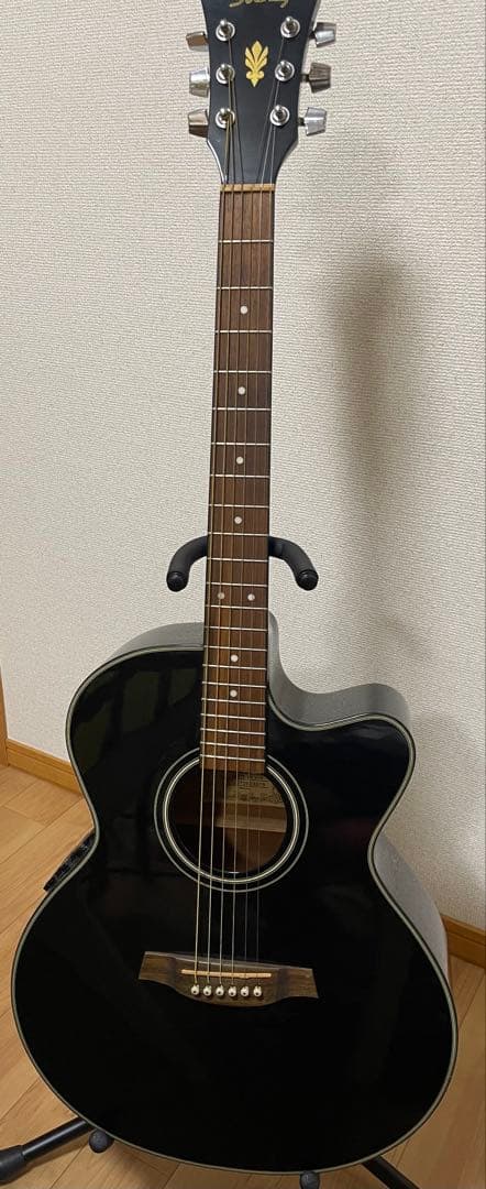 【希少】Ibanezアイバニーズ エレアコ純正ギグケース付アコースティ