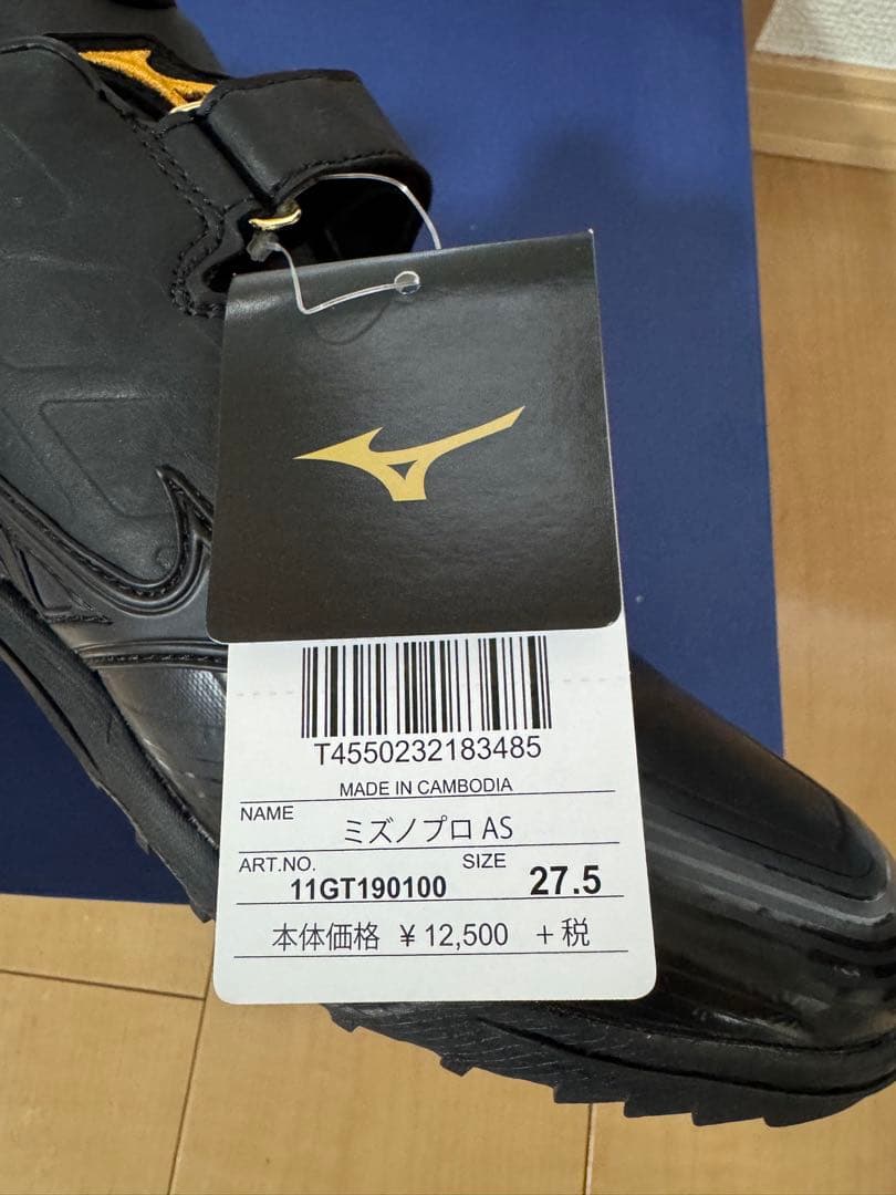 Mizuno Pro アップシューズ
