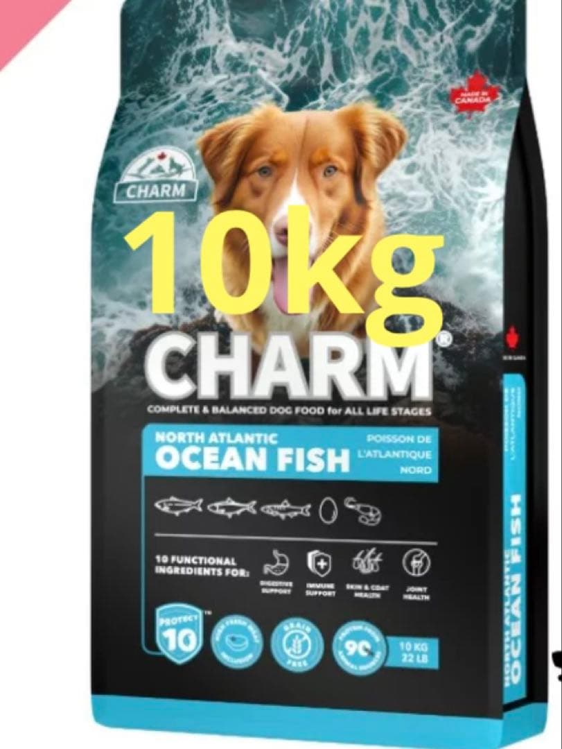 CHARM PROTECT10 チャーム プロテクト10 全年齢 10kg