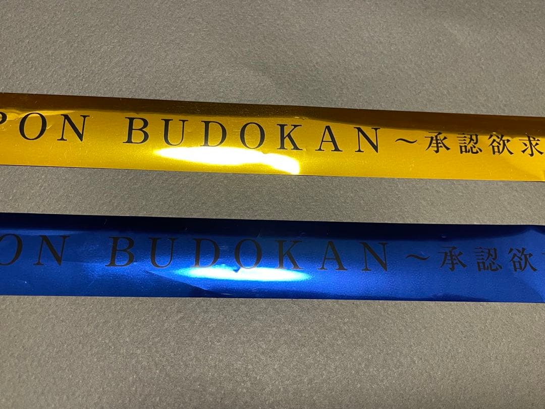 nana-nana tuki. 日本武道館 承認欲求爆発 ライブ　バッグ　銀テ