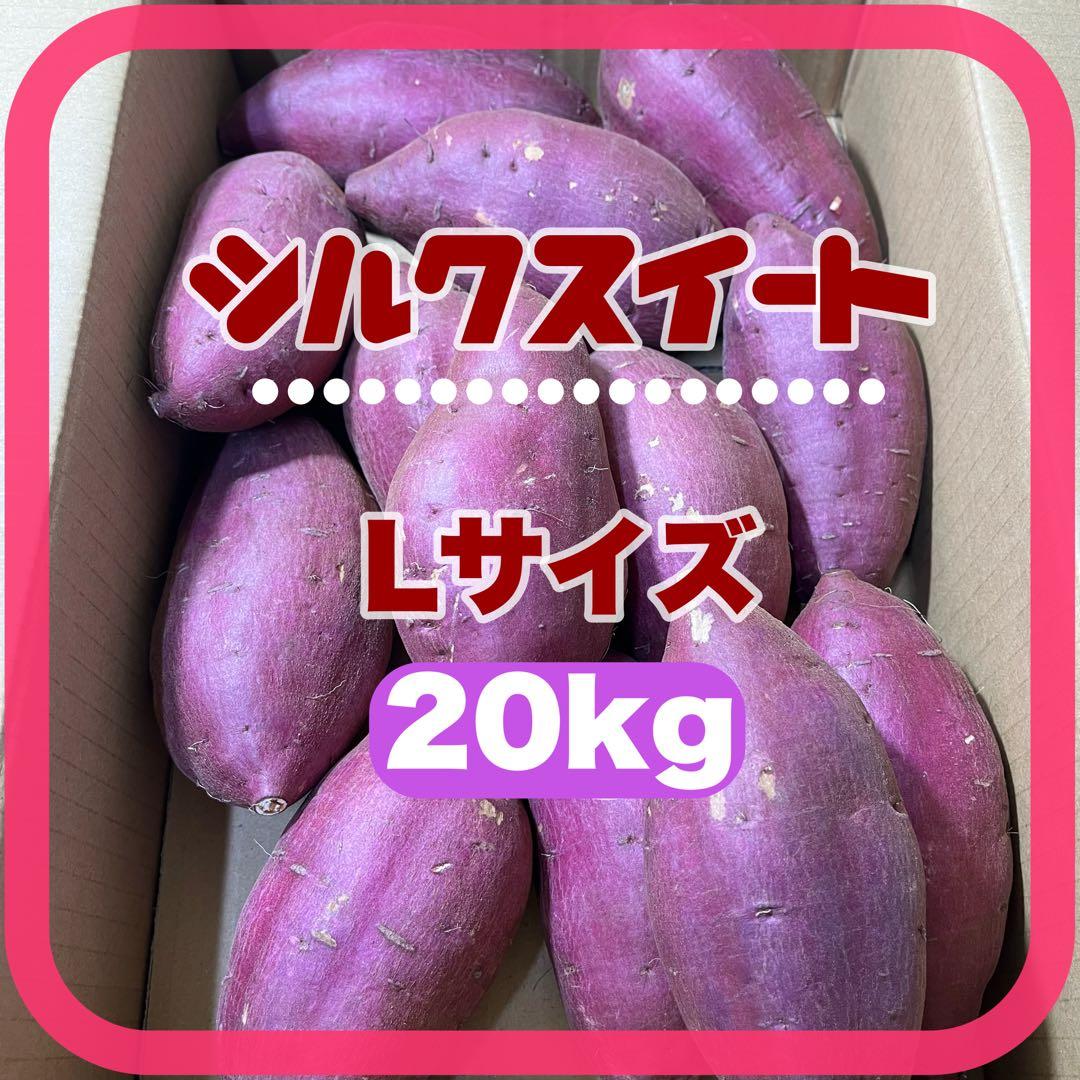 シルクスイート Lサイズ 20kg 千葉県産