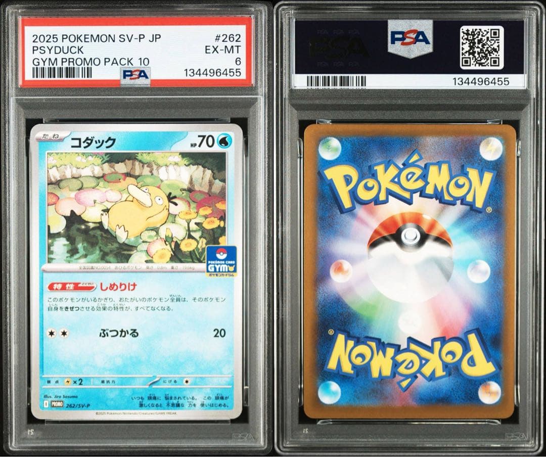 2025 ポケモン コダック GYM PROMO PSA10、6二枚セット鑑定品