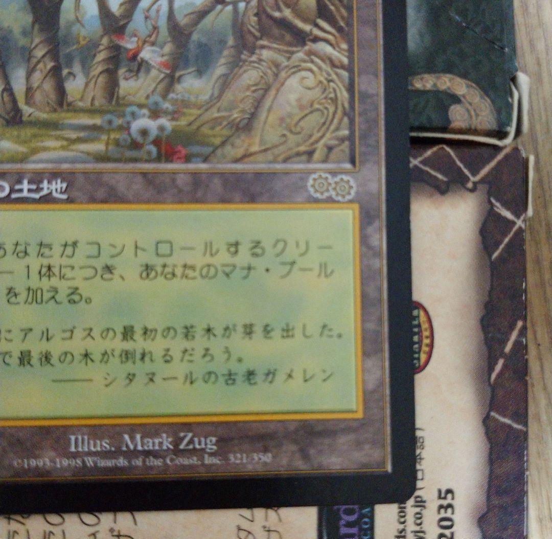 MTG ウルザズ・サーガ ガイアの揺籃の地/Gaea's Cradle 日本語