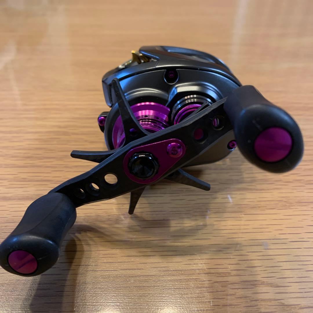 DAIWA STEEZ SVTW1012SV-XHL KTFカスタム