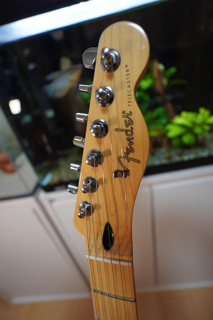 ギター Fender Player Telecaster
